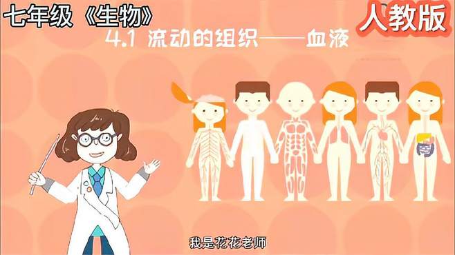 七年级《生物》:流动的组织—血液。小初全动画课,学习轻松有趣