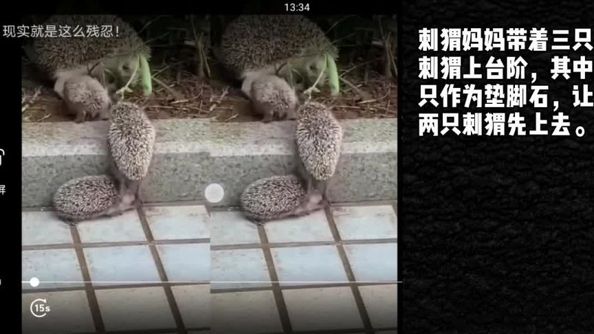 在社会中成长!#变强之路