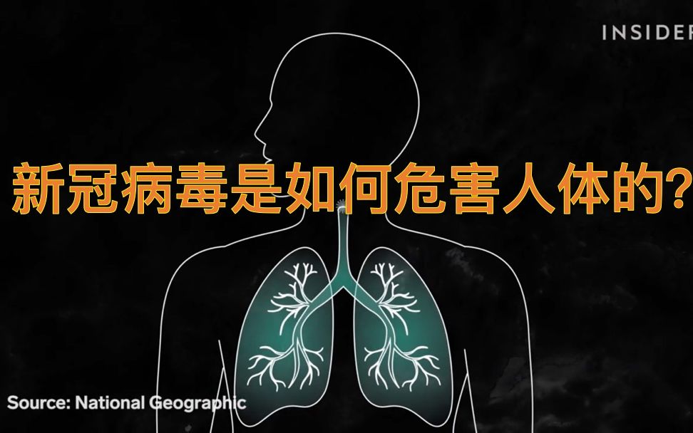 【科普】新冠病毒日复一日的症状表现|它是如何危害人体的?