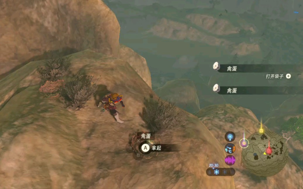 【塞尔达】林克偷禽蛋