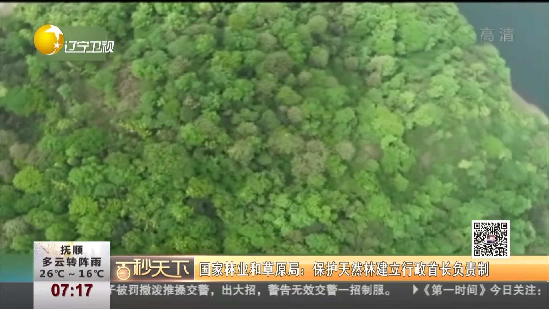 国家林业和草原局:保护天然林建立行政首长负责制