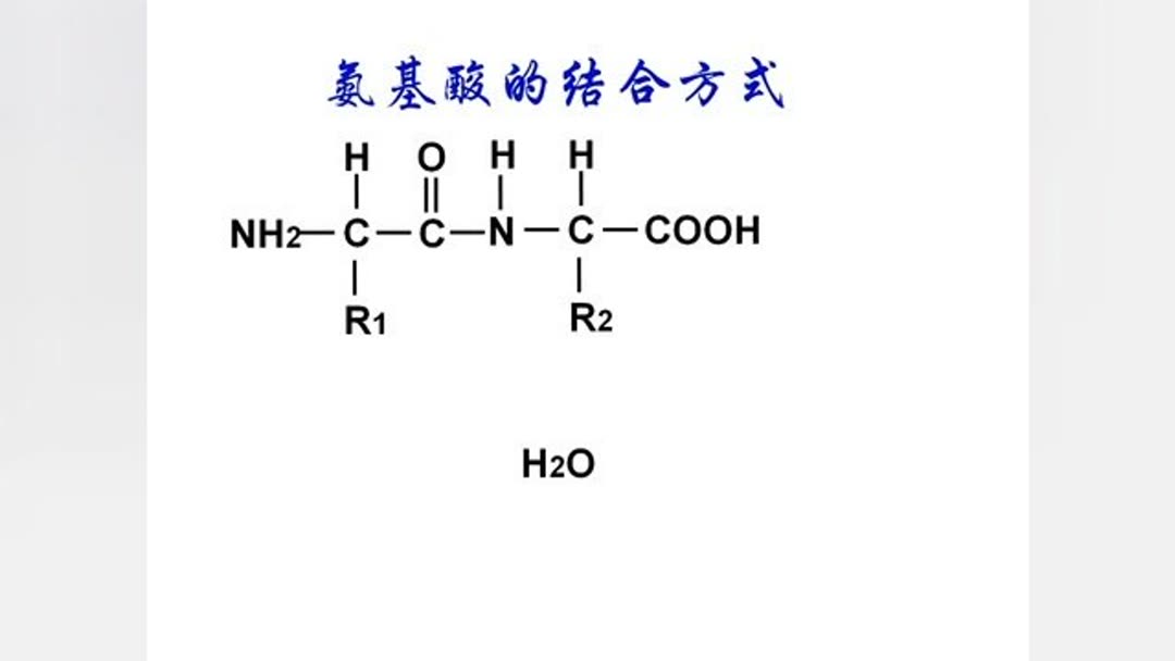 【陕西省首届微课大赛】氨基酸分子结构及其脱水缩合(高一生物,