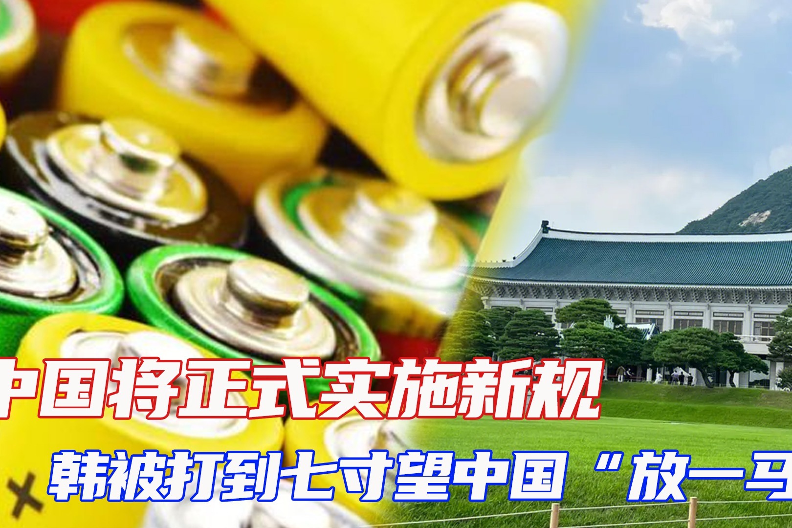 中国将正式实施新规,韩被打到七寸,望中国"放一马",先别实行