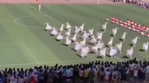 我参加运动会的目的很明显,你们懂得