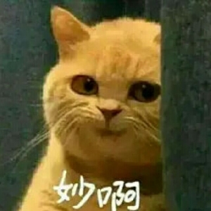 张岚不是张山风 