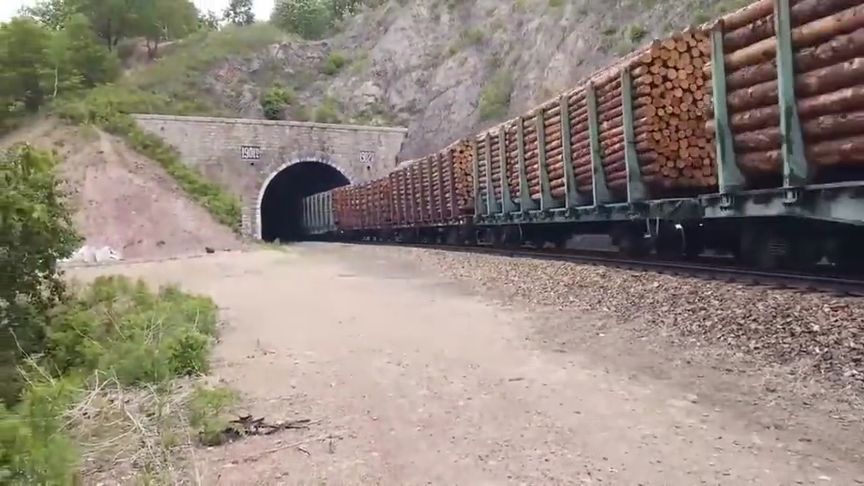 实拍:俄罗斯装满木材的火车进入中国