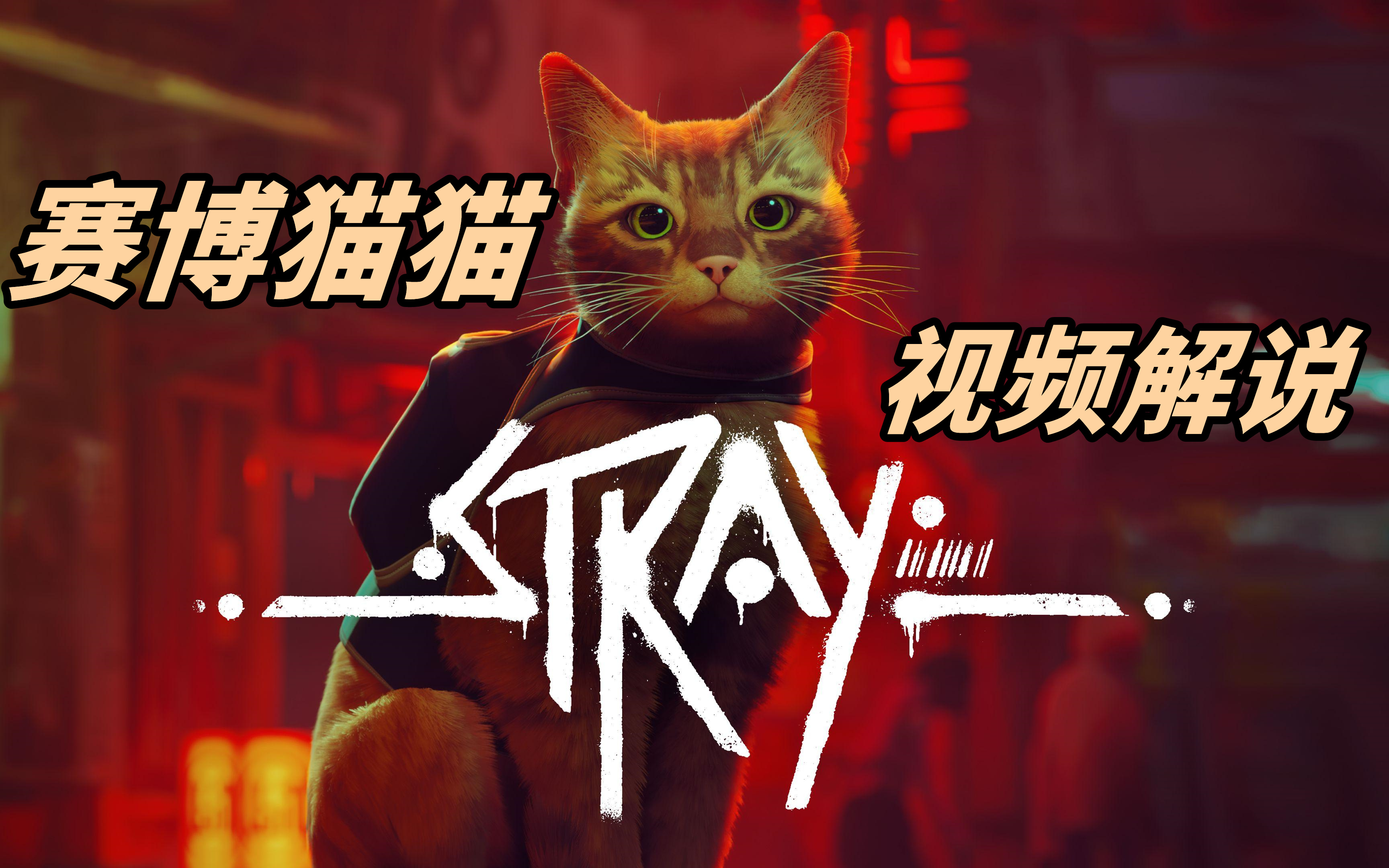 【完结合集】《迷失stray》剧情流程视频解说 | 赛博猫猫模拟器 | 全12...