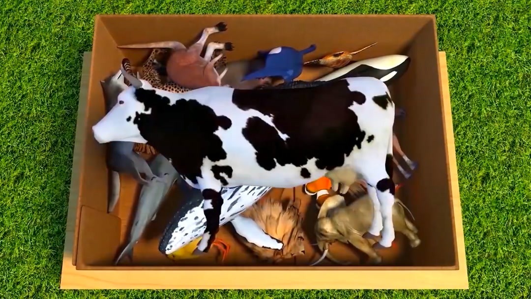 少儿卡通动画 介绍小狗,猫咪,小鸡和鸭子 奶牛 益智