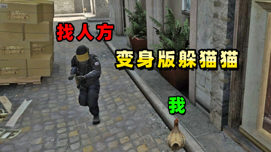 【小贝】变身版躲猫猫!我变成一只鸡,在找人方面前大摇大摆!