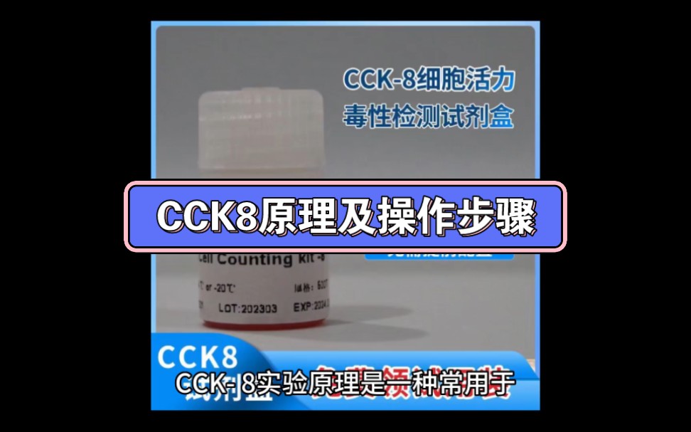 CCK8原理及操作步骤