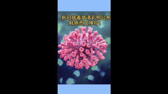 新型冠状病毒长啥样?请看高清图。