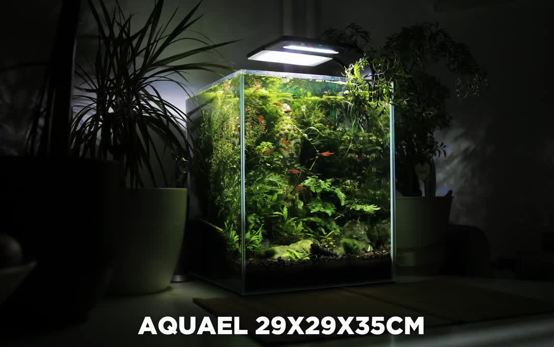 适合新手的超级水族馆水草造景My LostWorld nano tank - The ultimate ...