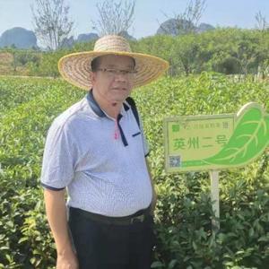 幸福百灵鸟MDt 