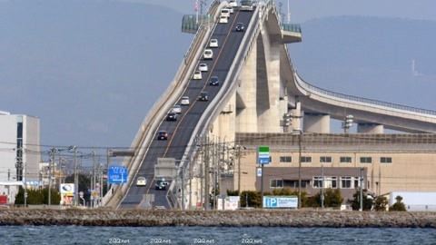 世界上5座最"怪"大桥,第一座以树为桥,不比混泥土桥身差!