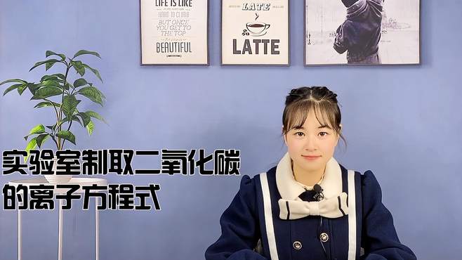 实验室制取二氧化碳的离子方程式