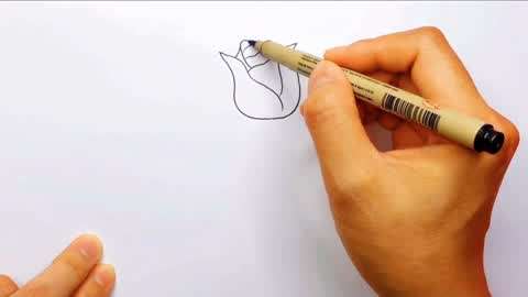 怎样一步一步教大家画玫瑰花?