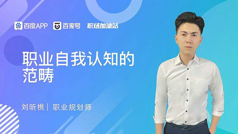 职业自我认知的范畴