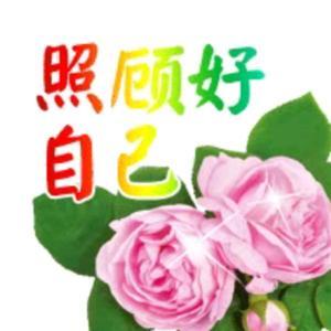 风霜雨雪 