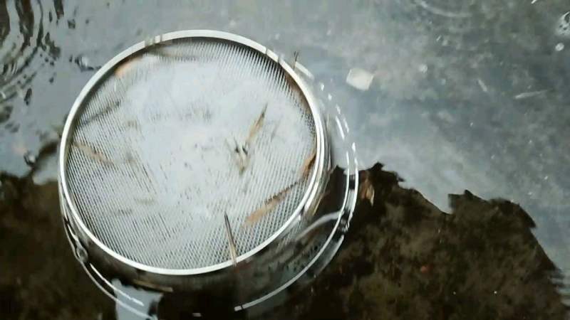 湖南今天下起了暴雨,阿荣在阿里巴巴买的不锈钢簸箕在屋顶挡杂物