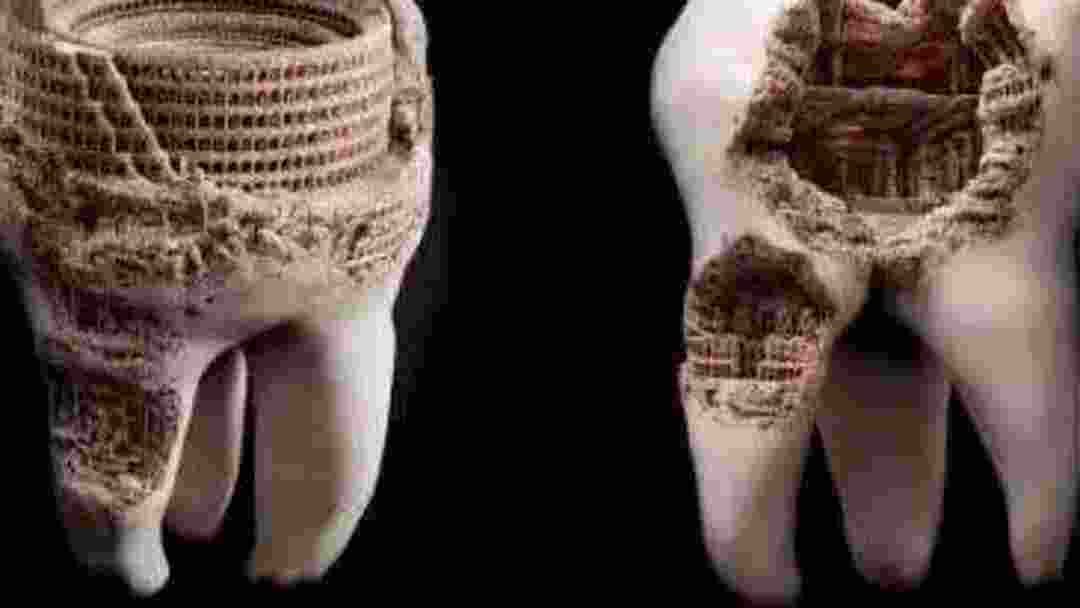 文案月薪五万,美术沦为排版