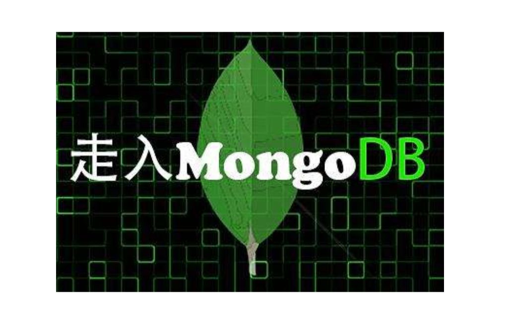 MongoDB视频教程