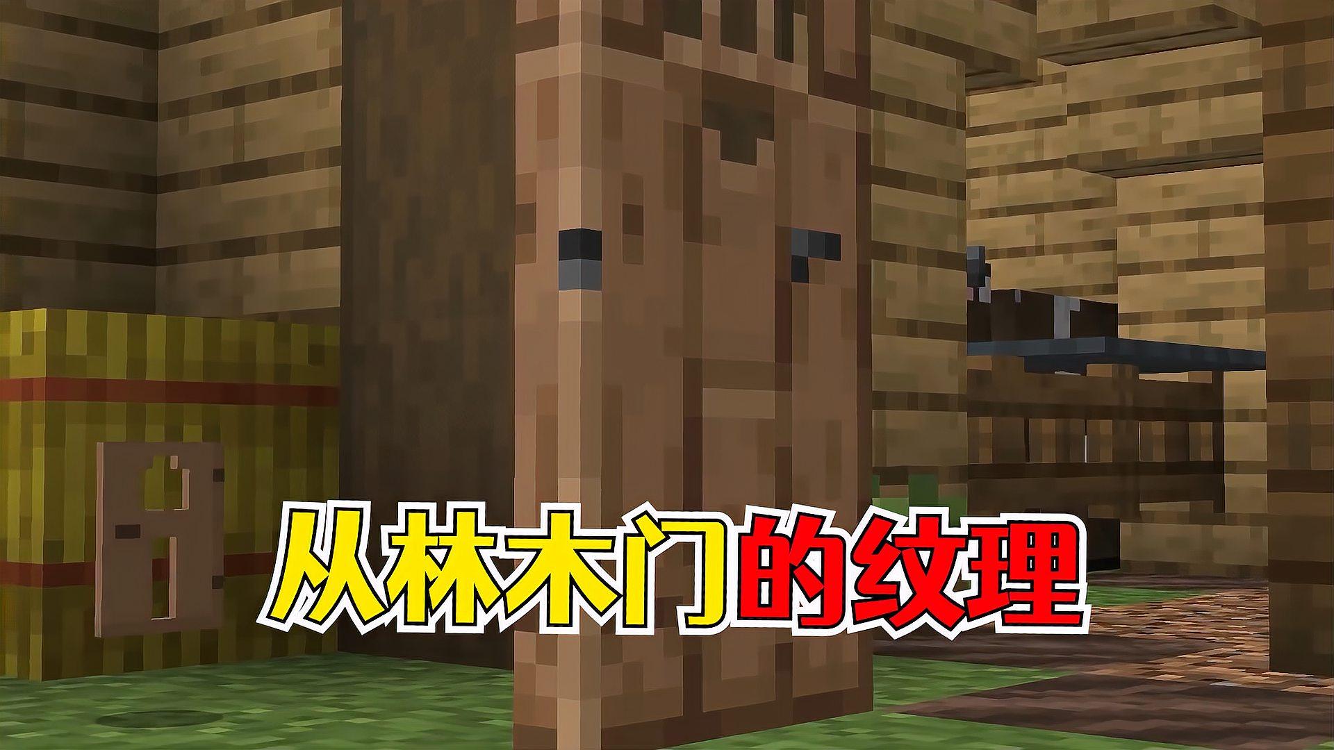 我的世界:鲜为人知的游戏细节!从林木门的纹理!