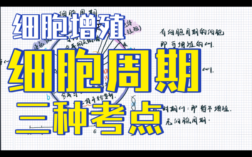 细胞增殖—细胞周期