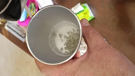 用茶杯茶叶合体的创新敬2022年一杯热茶。#一次性茶杯#器物之美 #...