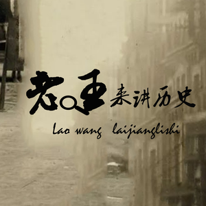 老王来讲历史 