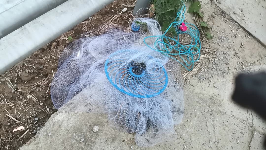 玩飞盘网的小技巧,看到闸口你就掏,网网不空