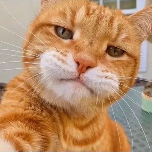 玅巫 