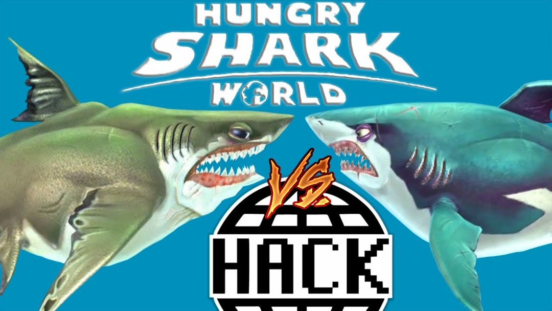 饥饿鲨世界 大白鲨和巨齿鲨挑战鲨鱼一哥