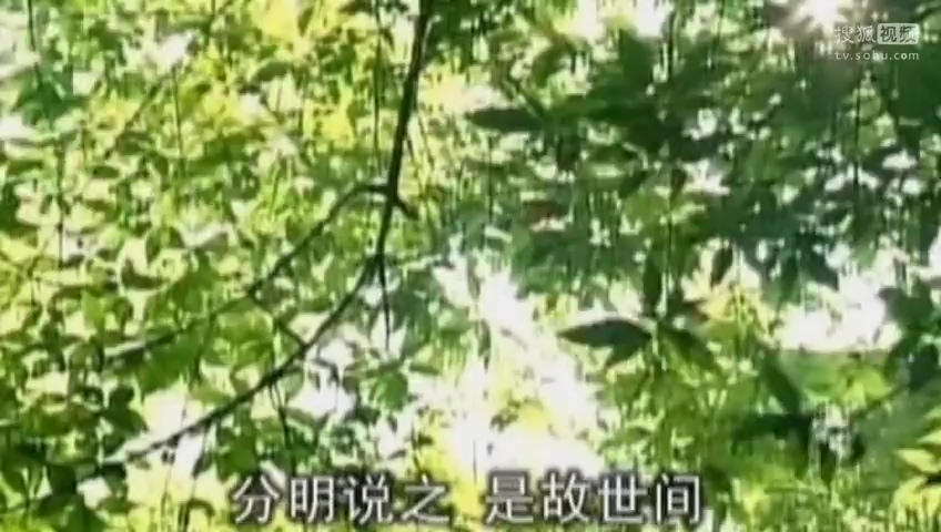 如是我闻佛教网《佛说三世因果》佛教弟子修行音乐专辑