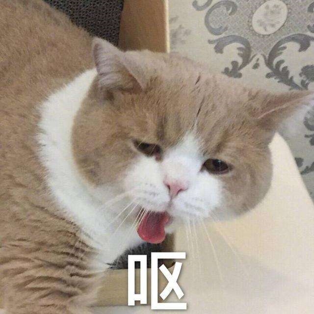 神经兮兮的酱汁 