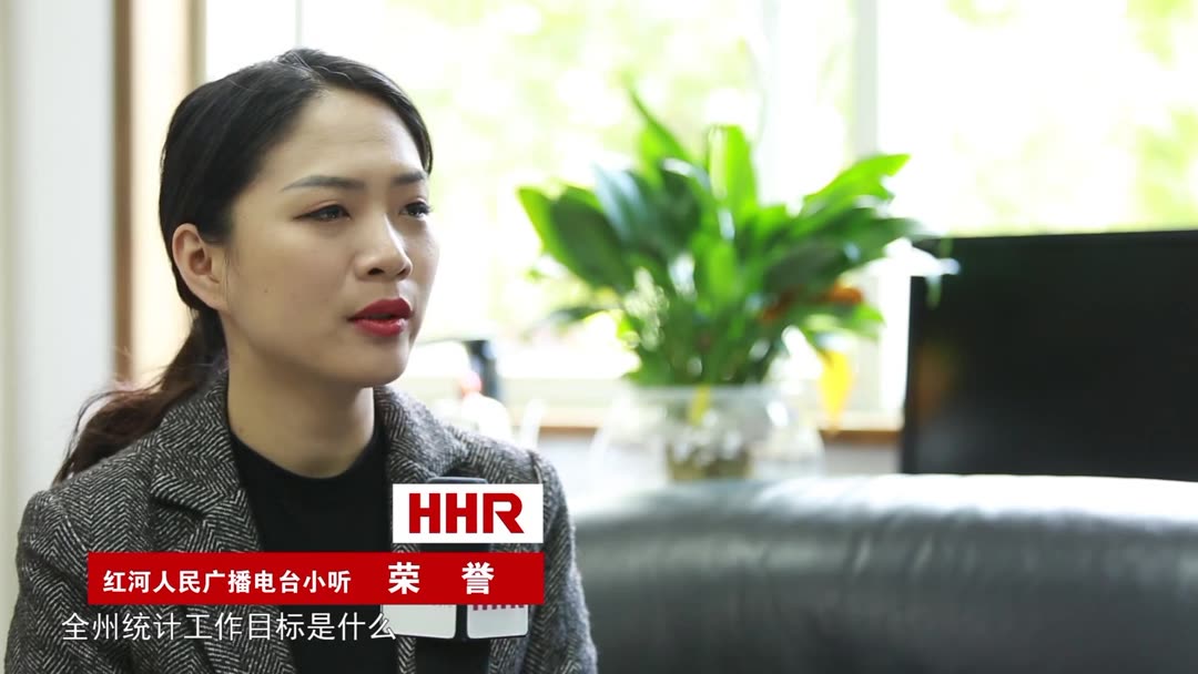 红河州统计局上线采访
