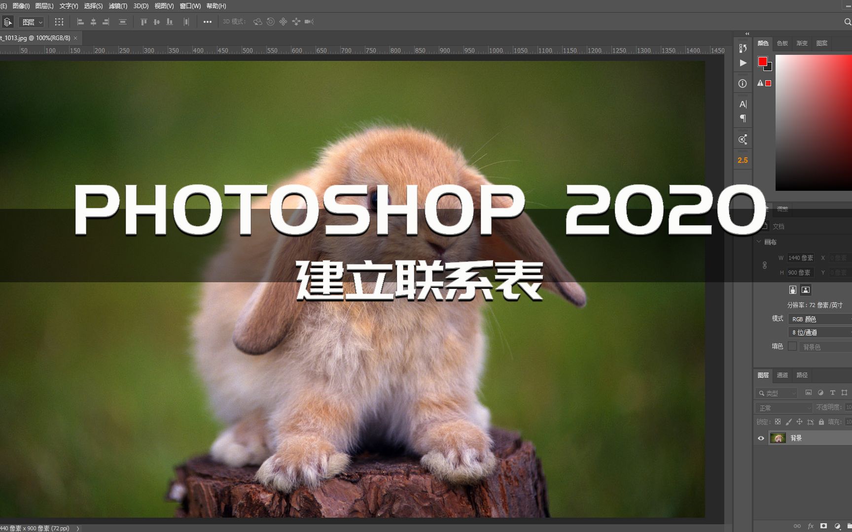 photoshop创建联系表