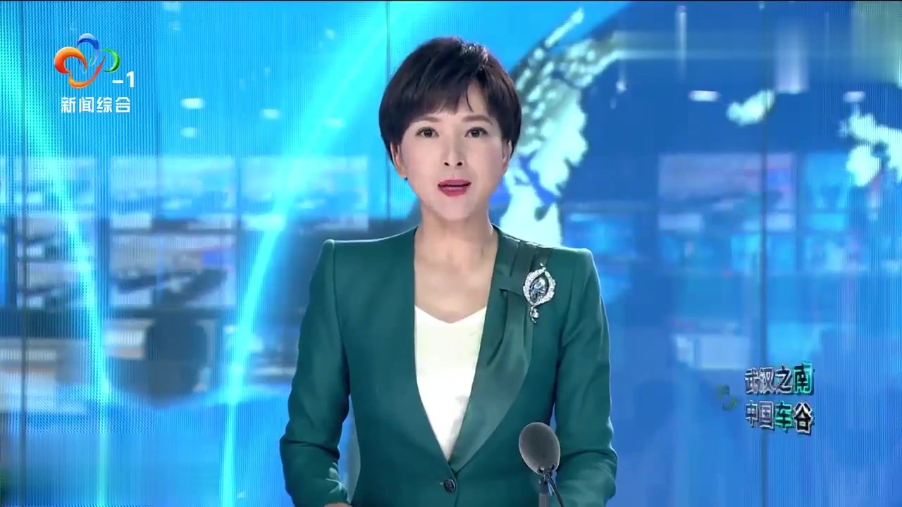 汉阳:政府产业引导母基金出手股权.