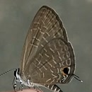 ☞自己☜ߘ 