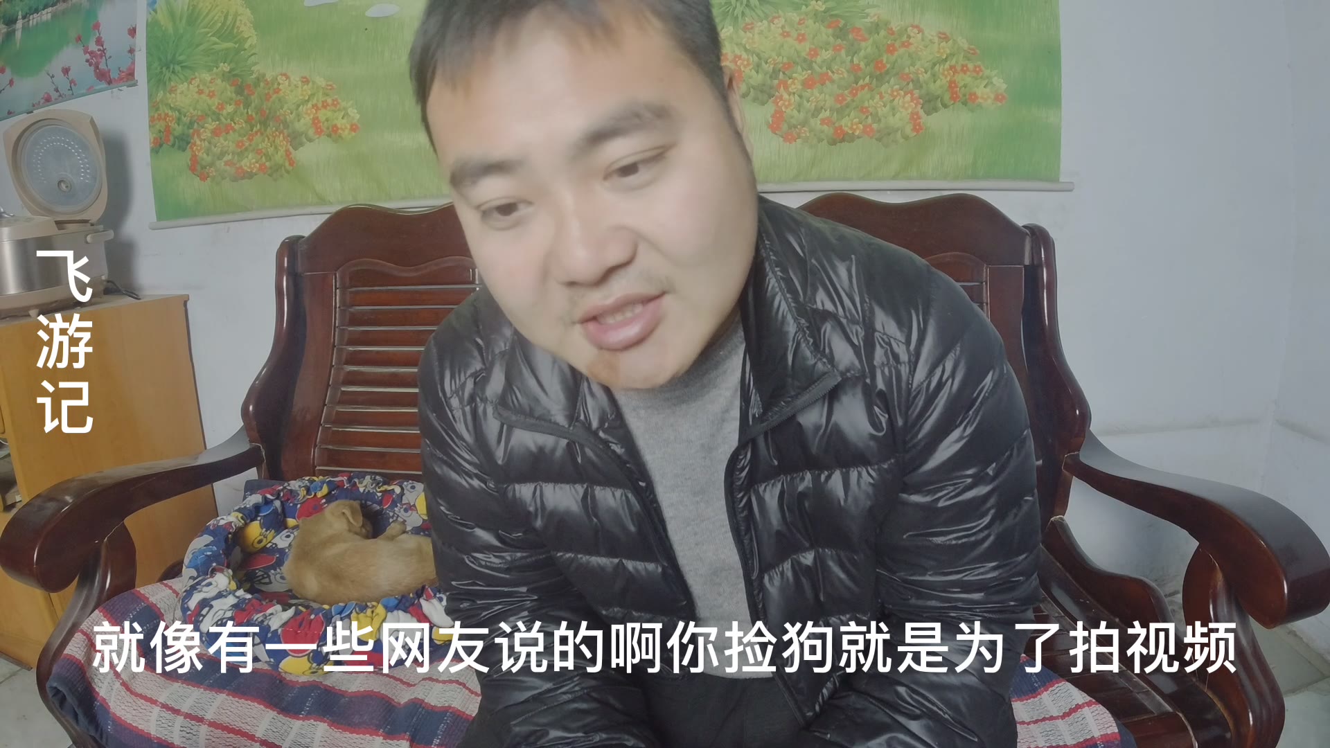 好心好意救助流浪狗,谁成想它先咬人,后咬死我家猫,真的太可恶