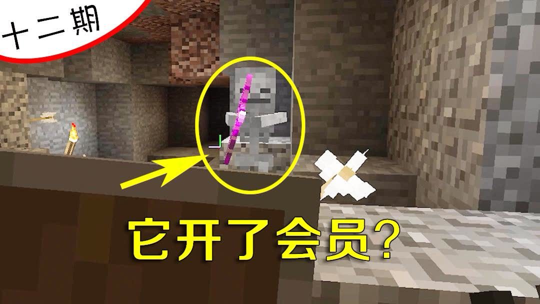 我的世界12:这下面的骷髅都是加buff的?这一箭差点把我射飞了