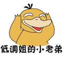低调的师姐 