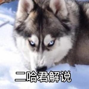 单身狗二哈君 