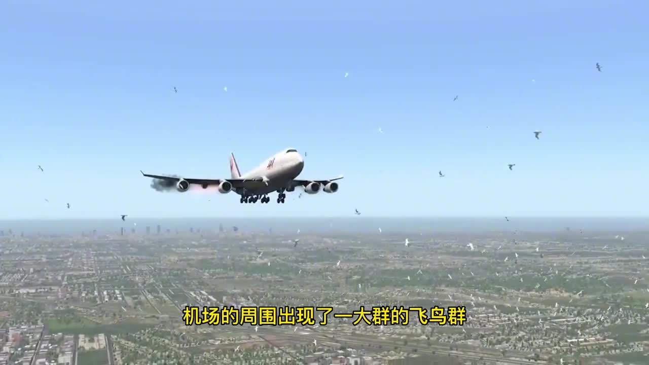模拟器:飞鸟群占据机场,路过的飞机无一幸免,引擎全部起火!