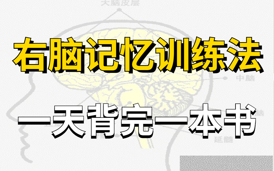 史上公认记忆法!【右脑记忆法】轻轻松松一天背完一本书,花了一万块...