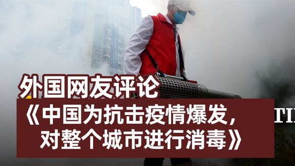 外国网友评论:《中国为抗击疫情,对整个城市进行消毒》