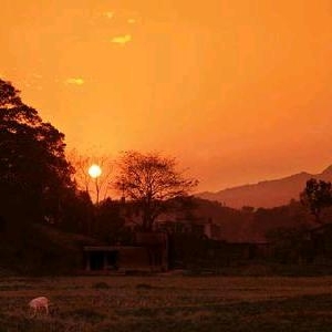 已退网高考回来 