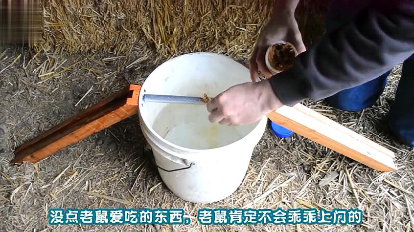 大叔自制简易捕鼠器,没想到还挺好用!