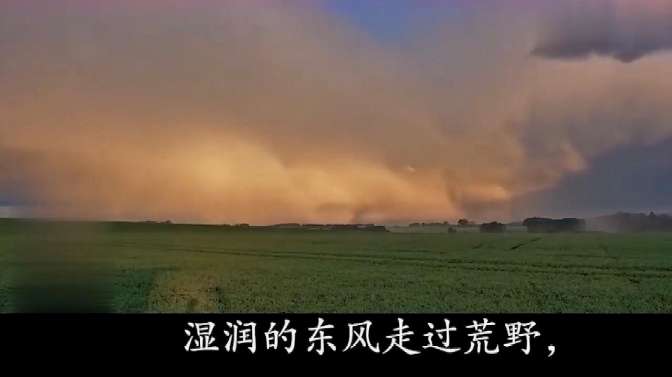 《花的学校》《花的校园》课文动画朗读