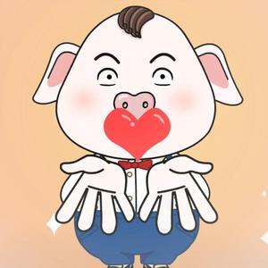 宝儿猪 