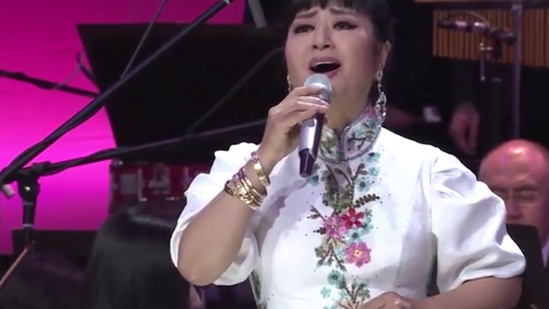 殷秀梅演唱《马儿啊你慢些走》,清脆嘹亮,别致动听